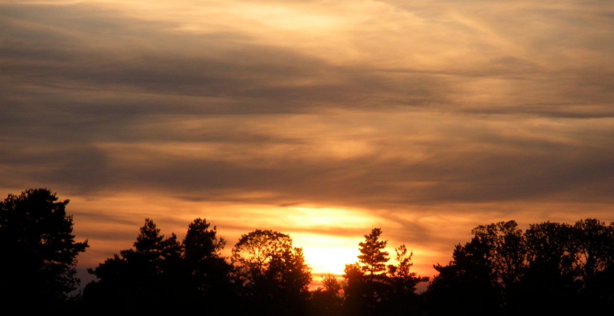 Racing the sunset – Kate Shrewsday