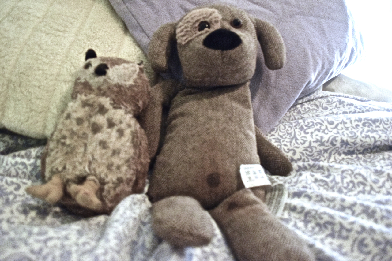 The Ballad of Beanie Dog – Kate Shrewsday